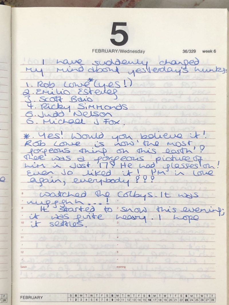 Extracts From My 1980s Teenage Diaries - Not Dressed As Lamb