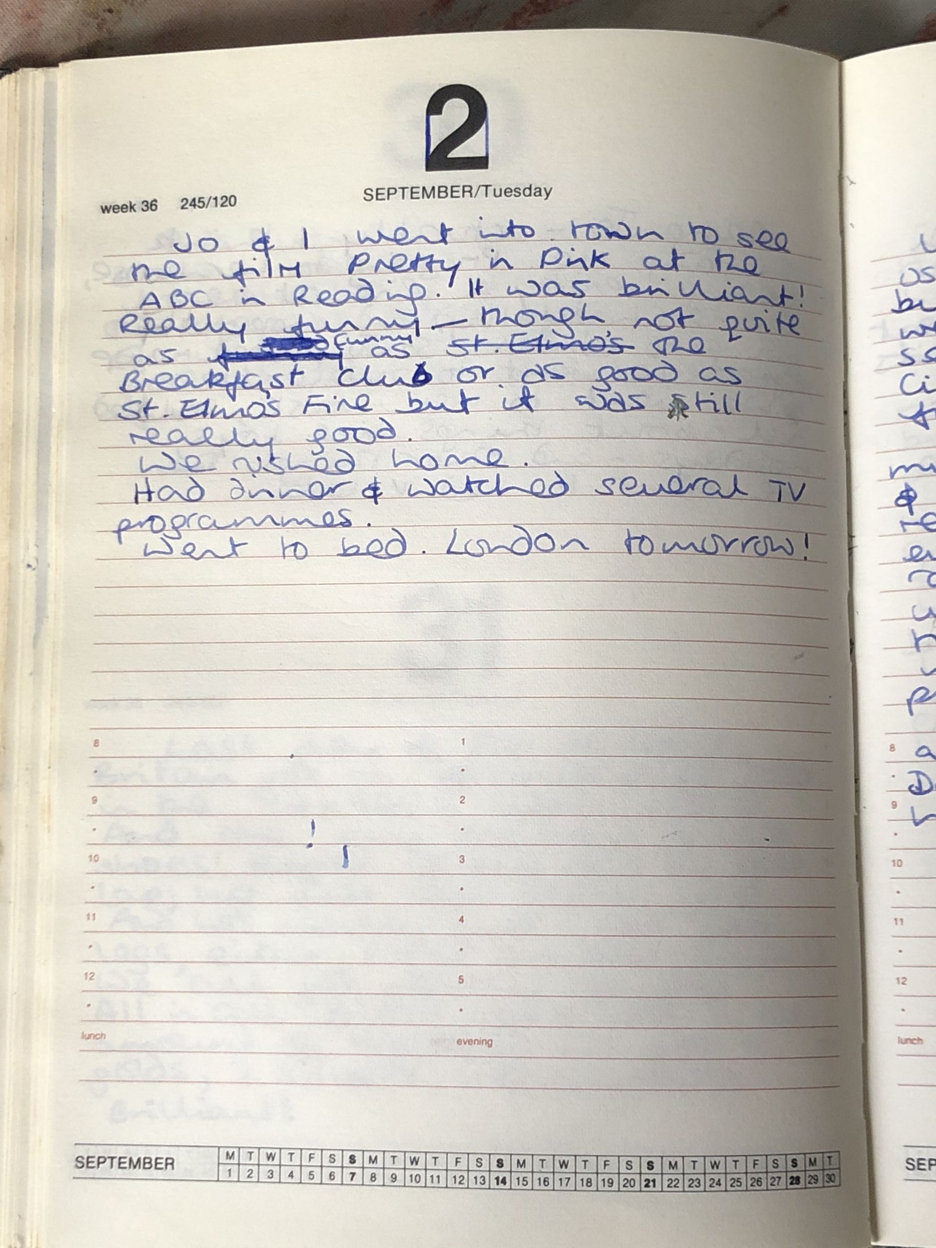 Extracts From My 1980s Teenage Diaries - Not Dressed As Lamb