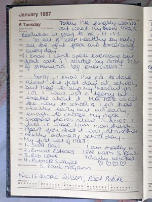 Extracts From My 1980s Teenage Diaries - Not Dressed As Lamb