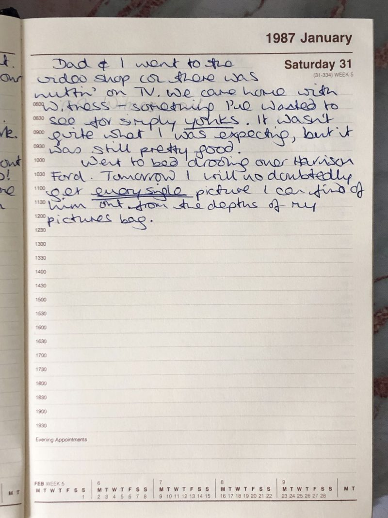 Extracts From My 1980s Teenage Diaries - Not Dressed As Lamb