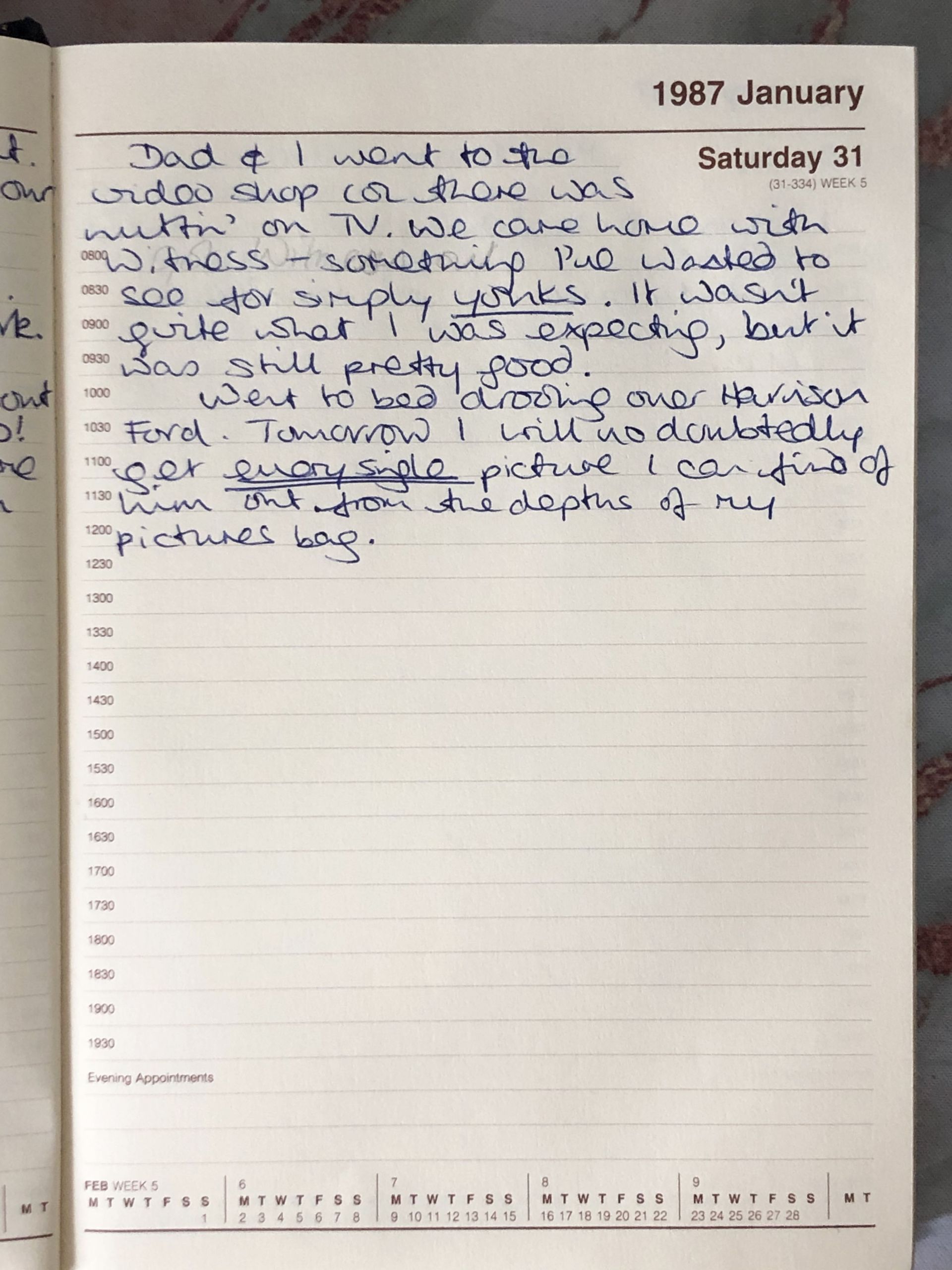 Extracts From My 1980s Teenage Diaries - Not Dressed As Lamb